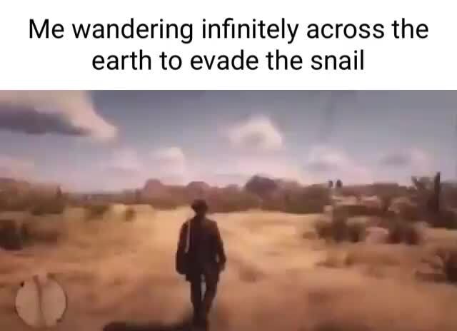 Me wandering infinitely across the earth to evade the snail - iFunny