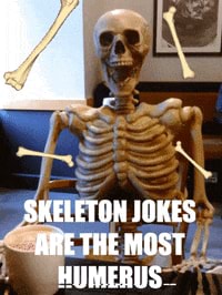 SKELETON JOKES ARE THE MOST HUMERUS.. - iFunny