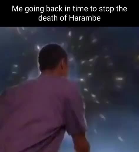 Me going back in time to stop the death of Harambe - iFunny