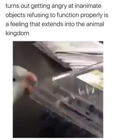 Turns out getting angry at inanimate objects refusing to function ...