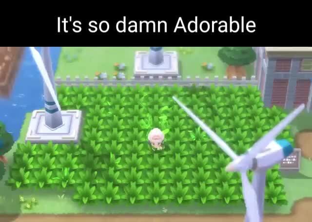 It's so damn Adorable De - iFunny