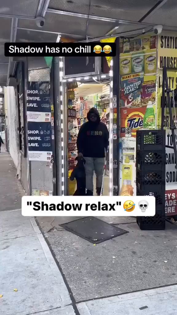Shadow has no chill "Shadow relax" - iFunny
