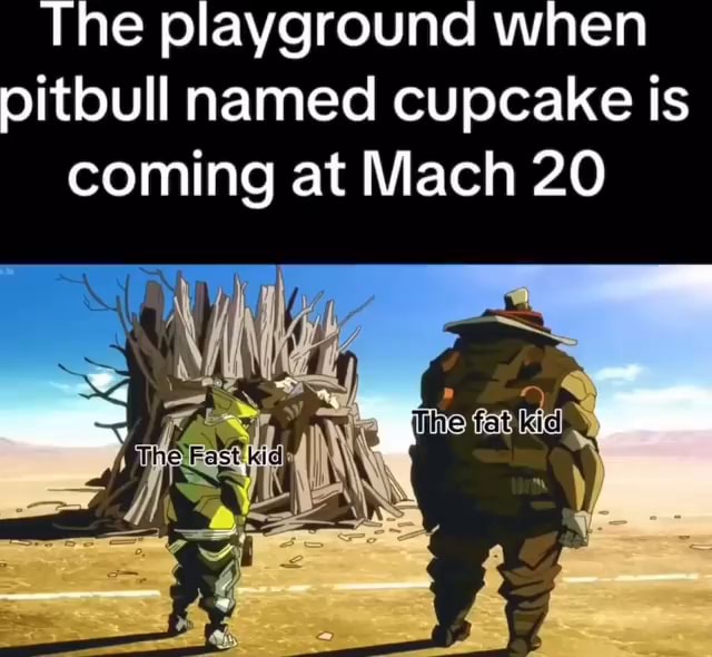 The playground when pitbull named cupcake is coming at Mach 20 - iFunny