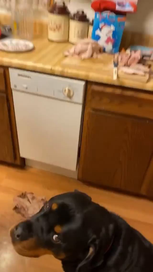 Video memes dpeaZaU8C by CriticalDrinker: 57 comments - America’s best pics and videos