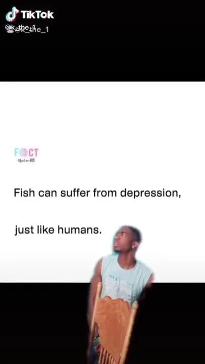 TikTok Fish can suffer from depression, just like humans, - iFunny
