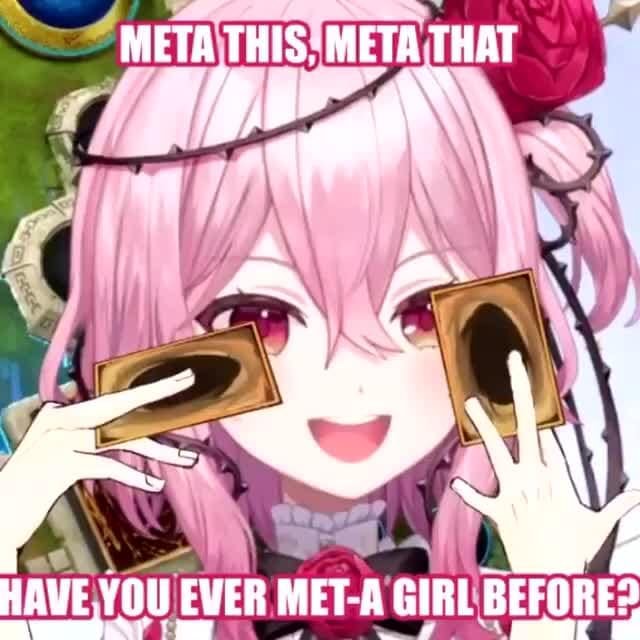 Meta Meta That Have You Ever Met A Girl Before Ifunny