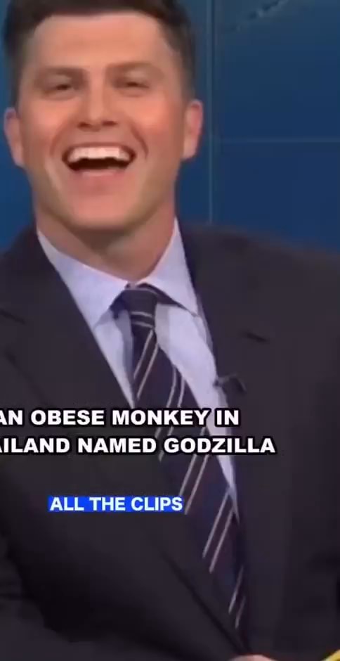 \N OBESE MONKEY IN (LAND NAMED GODZILLA ALL THE CLIPS - iFunny