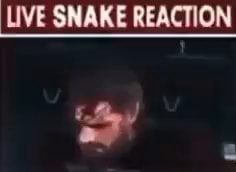 LIVE SNAKE REACTION - iFunny