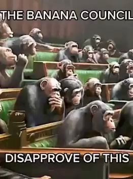 THE BANANA COUNCIL DISAPPROVE OF THIS - iFunny