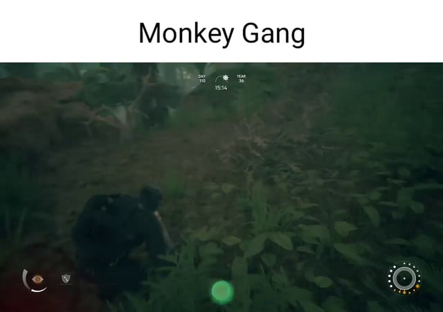 Monkey Gang YEAR - iFunny