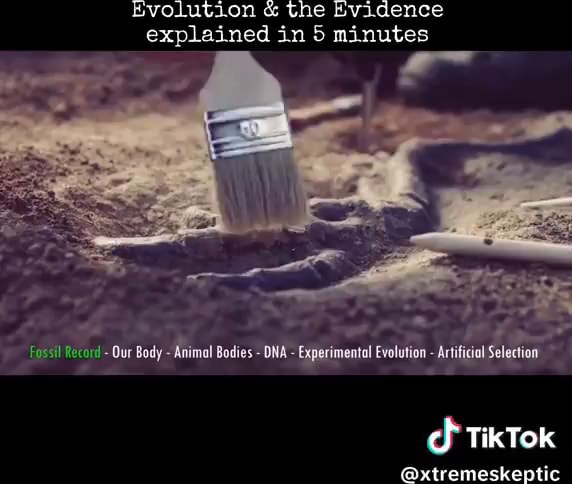 Evolution " the Evidence explained in 5 minutes Fossil Record Our Body ...