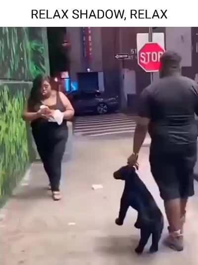 RELAX SHADOW, REL AX - iFunny