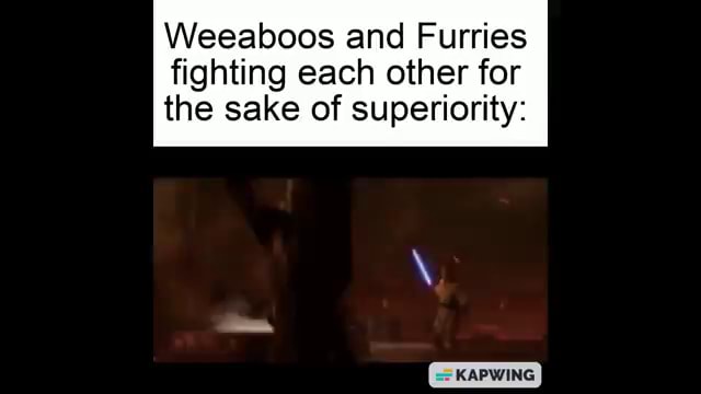 Weeaboos and Furries fighting each other for the sake of superiority ...