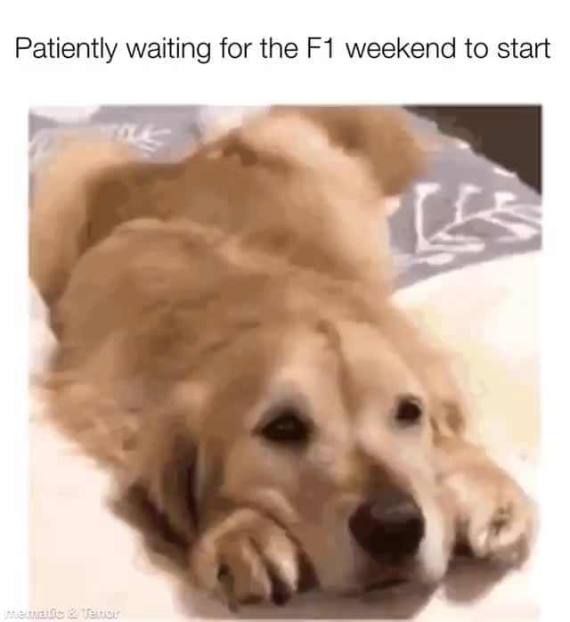 Patiently waiting for the weekend to start - iFunny