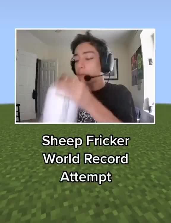 Sheep Fricker, World Record Attempt - iFunny
