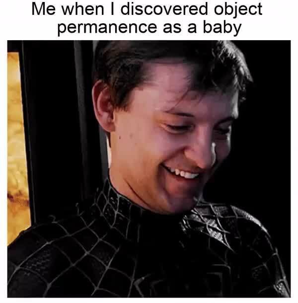 Me when I discovered object permanence as a baby - iFunny