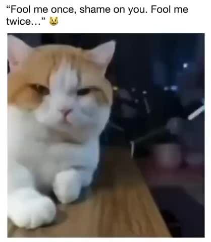 Fool me once, shame on you Fool me twice - iFunny
