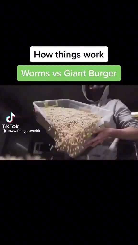 How things work Worms vs Giant Burger TikTok - iFunny