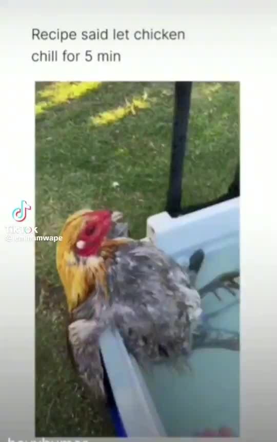 Recipe said let chicken chill for 5 min - iFunny