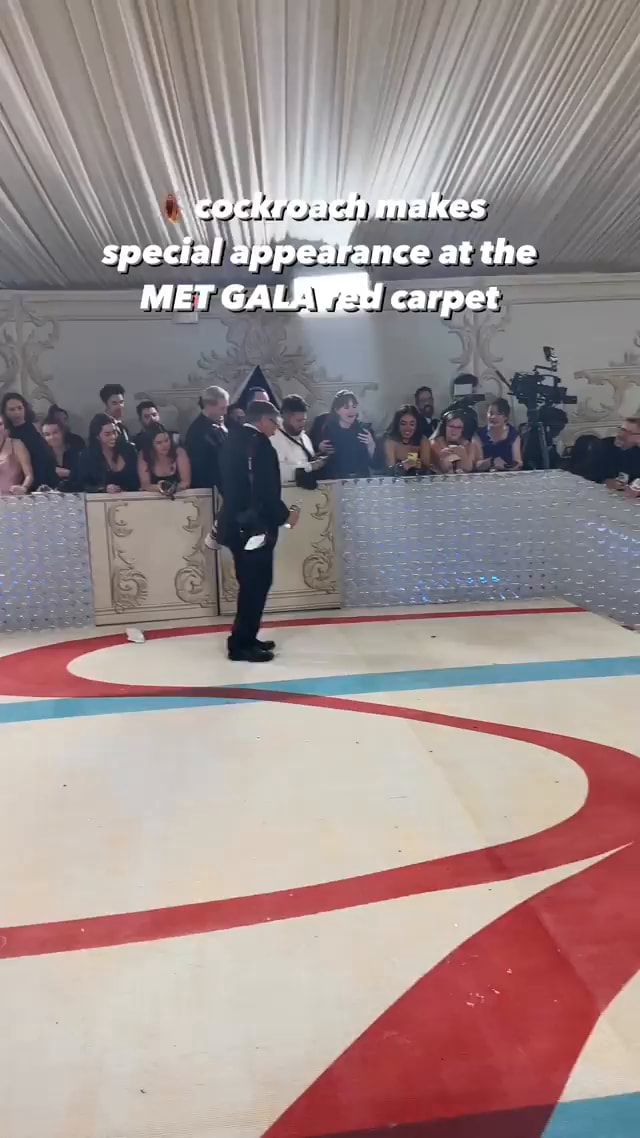 A cockroach had a red carpet moment at the MET GALA this evening ...