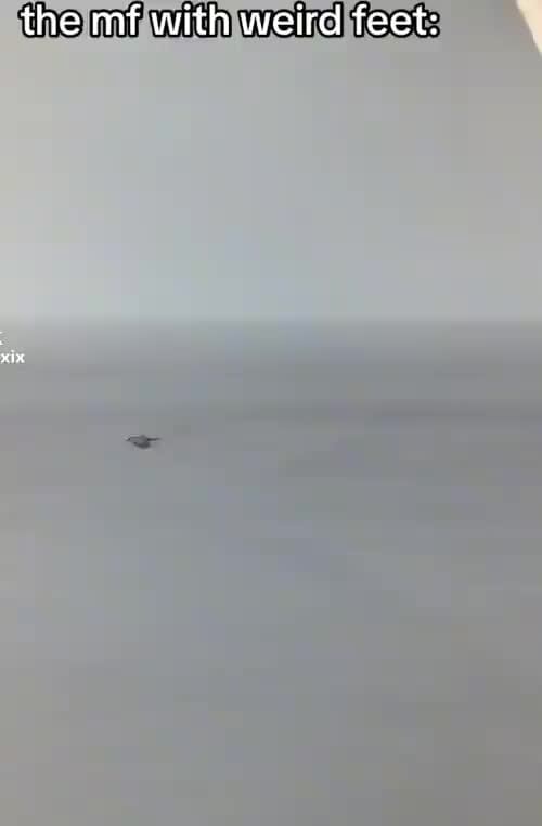 The mf with weird feet: - iFunny