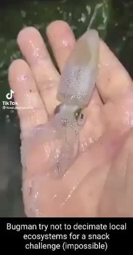 Bugman try not to decimate local ecosystems for a snack challenge (impossible) - iFunny