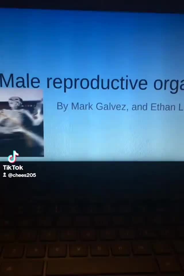 Ale reproductive org By Mark Galvez, and Ethan L TikTok - iFunny