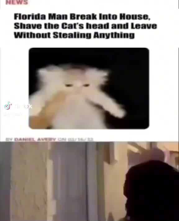 Florida Man Break Into House, Shave the Cat's head and Leave Without ...