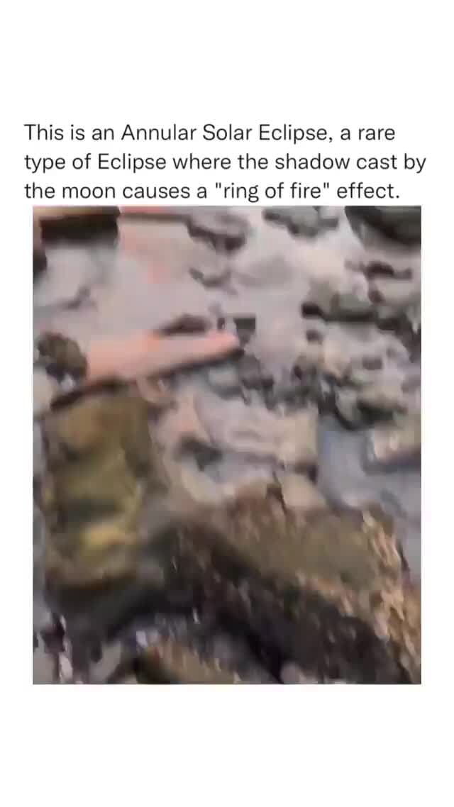 This is an Annular Solar Eclipse, a rare type of Eclipse where the ...