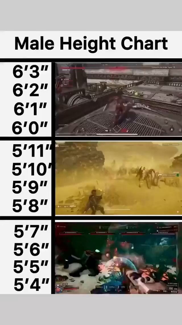 Male Height Chart fe - iFunny
