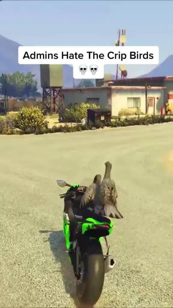 Admins Hate The Crip Birds - iFunny