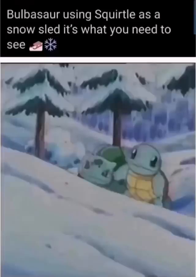 Bulbasaur using Squirtle as a snow sled it's what you need to see - iFunny