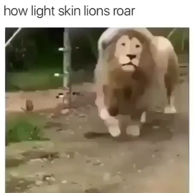 How light skin lions roar - iFunny