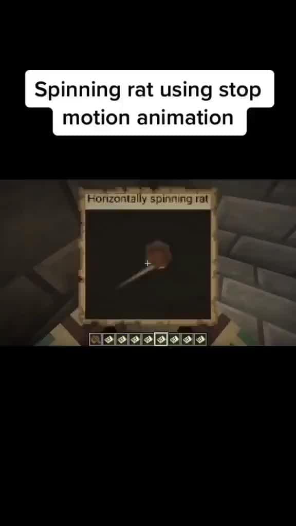 Spinning rat using stop motion animation - iFunny