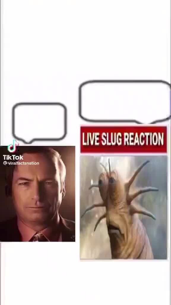 LIVE SLUG REACTION - iFunny