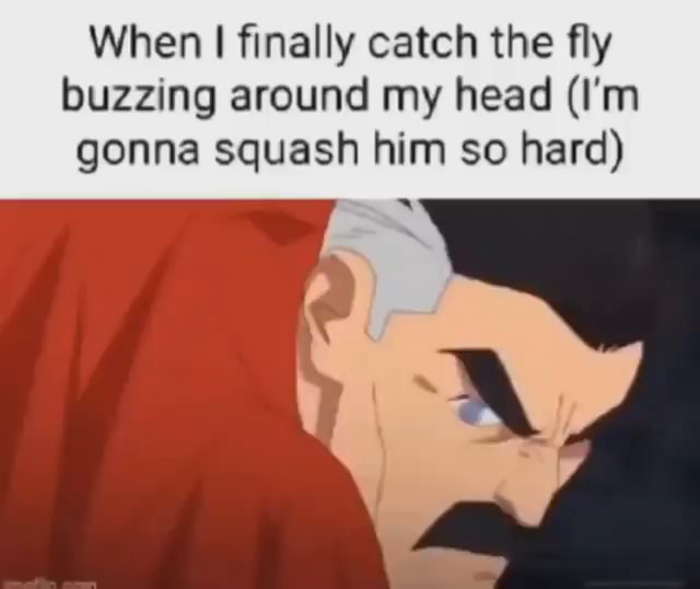 When finally catch the fly buzzing around my head (I'm gonna squash him ...