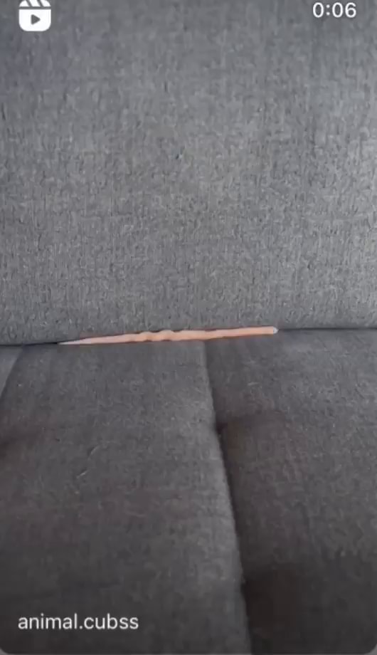 Video memes o6wBavMuA by Ratatootin: 2 comments - iFunny