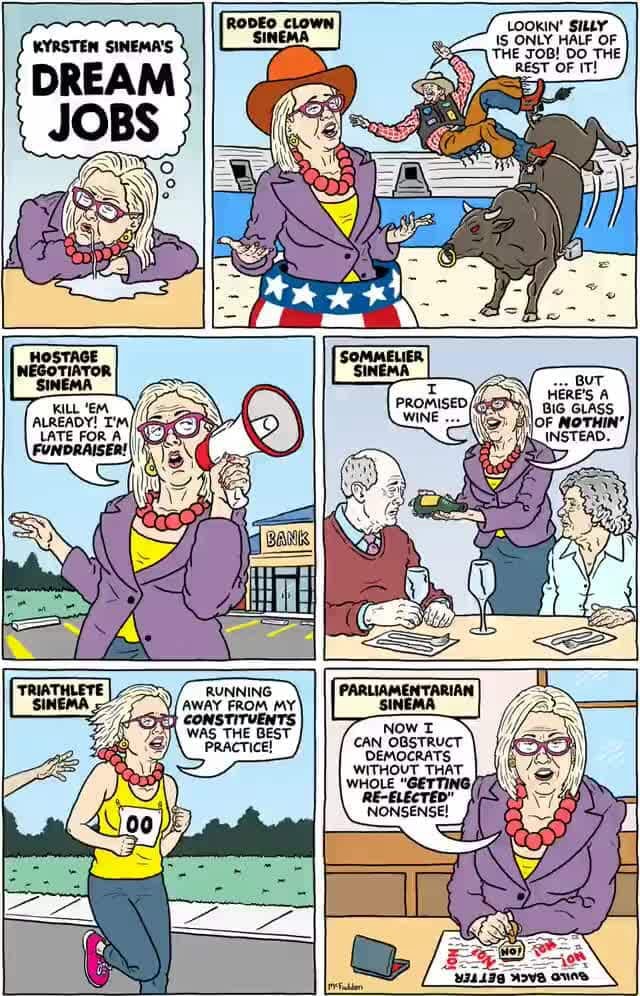 KYRSTEN SINEMA'S LOOKIN' SILLY \S ONLY HALF OF THE TOB! DO THE REST OF ...