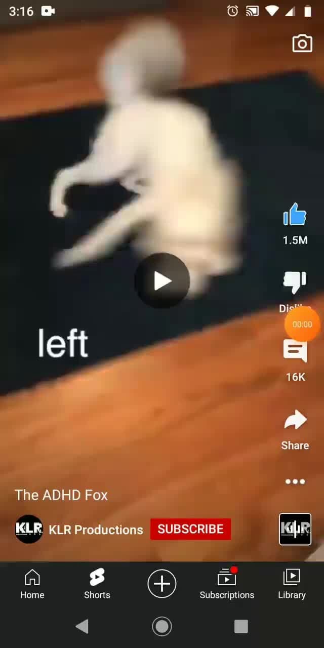 Left The ADHD Fox Share KLR. KLR Productions SUBSCRIBE a Home Shorts ...