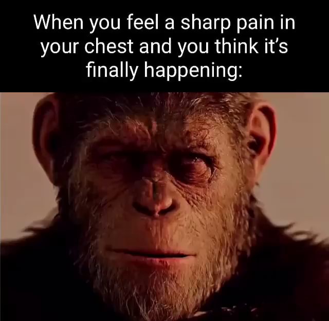 When you feel a sharp pain in your chest and you think it's finally ...