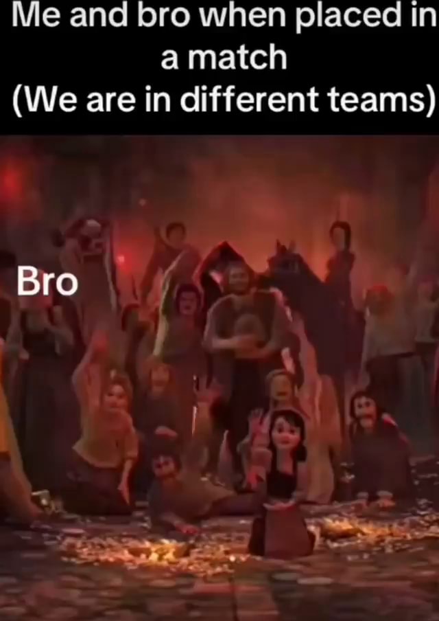 Me and bro when placed in a match (We are in different teams) Bro - iFunny