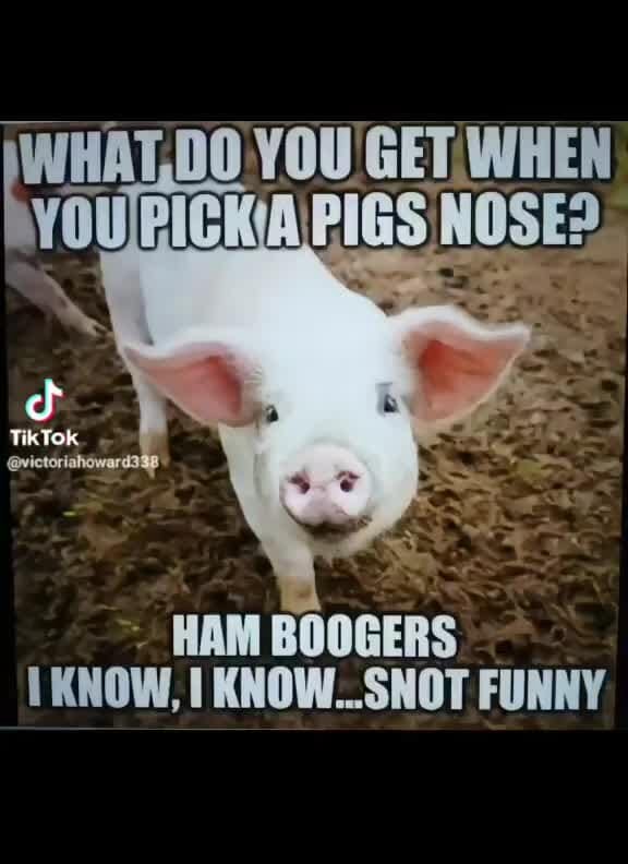 \WHAT,DO} OU GET WHEN, ~ HAM BOOGERS I KNOW, KNOW..SNOT FUNNY - iFunny