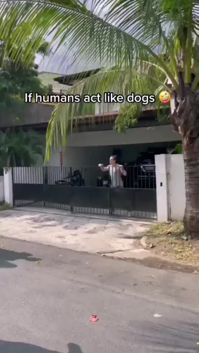 If humans act like dogs - iFunny