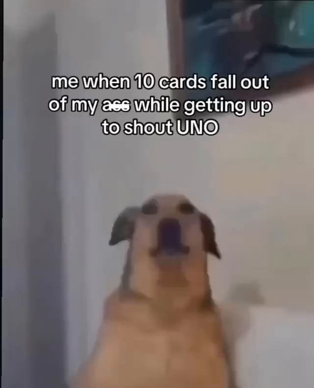 Me when 10 cards fail out of my aee while getting up to shout UNO - iFunny