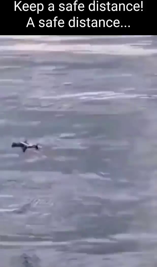 Keep a safe distance! A safe distance... - iFunny