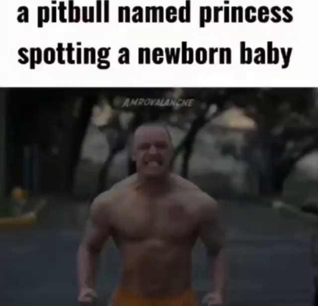 A pitbull named princess spotting a newborn baby - iFunny
