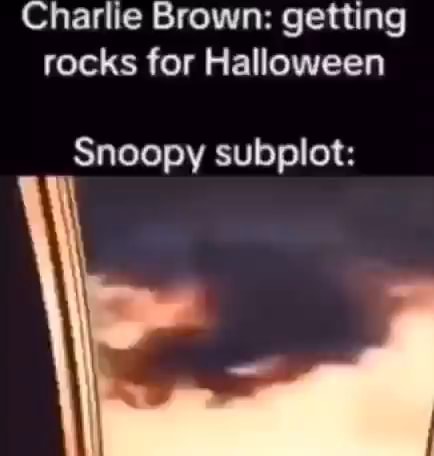 Charlie Brown: getting rocks for Halloween Snoopy subplot: - iFunny