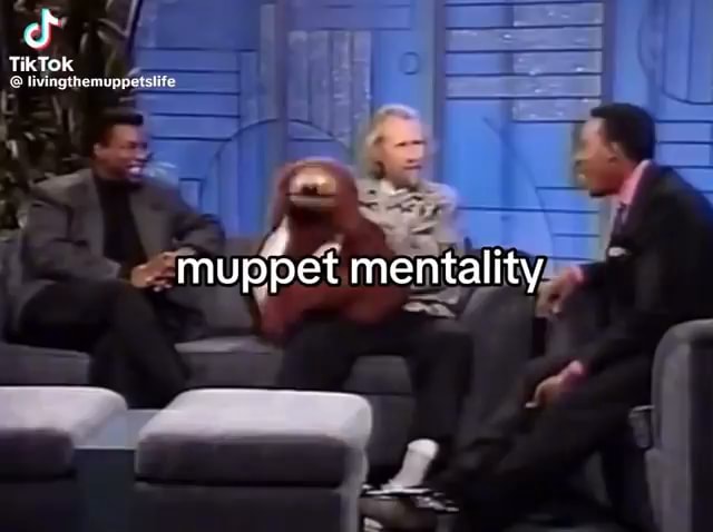 TikTok muppet mentality - iFunny