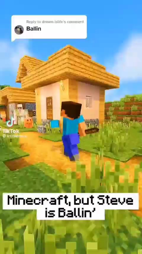 Minecraft, but Steve I is Ballin' - iFunny