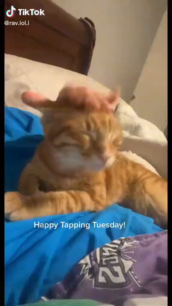 @rav.ioli Happy Tapping Tuesday! I - iFunny